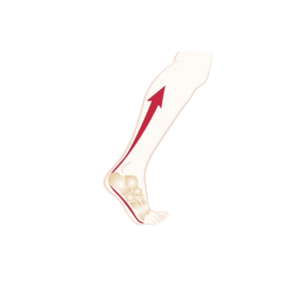 Tendon d’Achille - Dr Richard Borgi — Chirurgie du pied et de la cheville